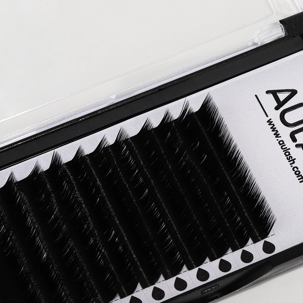 Korean PBT Fiber 0.15mm L Curl Lashes | AULASH